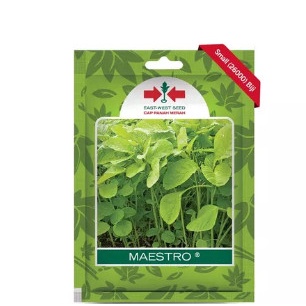 Jual Benih Bibit Bayam hijau 500 Gram cap Panah Merah MAESTRO | Shopee ...