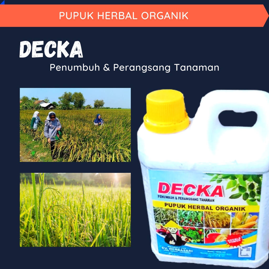 Jual Pupuk Cair Penambah Bobot Padi dan Anti Hama Tikus, Pupuk Cair ... Jual Pupuk Cair Penambah Bobot Padi dan Anti Hama Tikus, Pupuk Cair ...