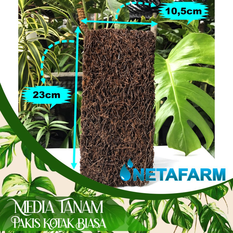 Jual Media Tanam Akar Pakis Kotak ( Lempengan ) - satuan per kotak ...