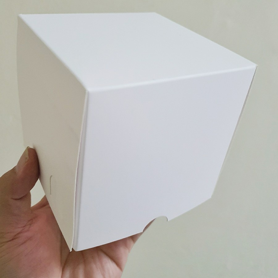 Jual Dus Cake Kotak Box Cake Mini Chiffon Kotak Dus Packaging Kue ...