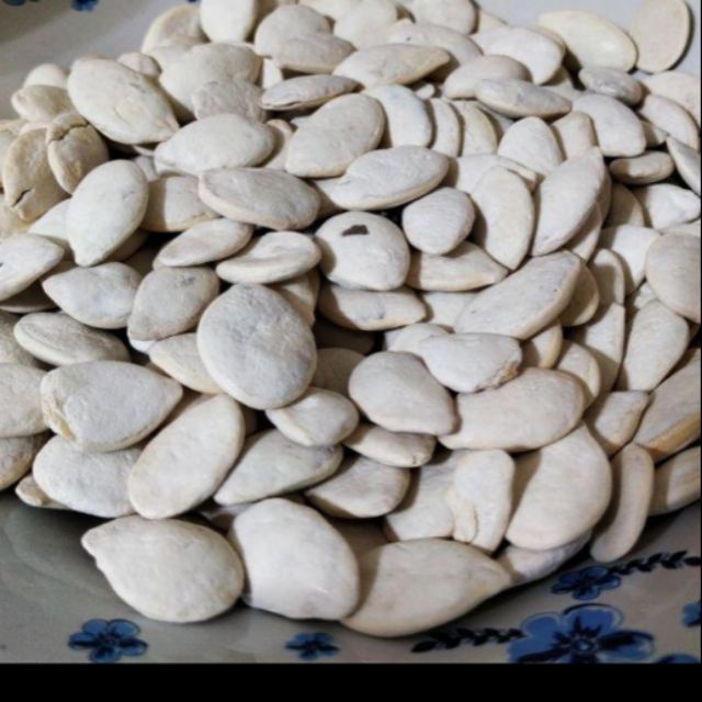 Jual KUACI PUTIH ASIN BIJI LABU 250 GRAM salted pumpkin seeds | Shopee ...