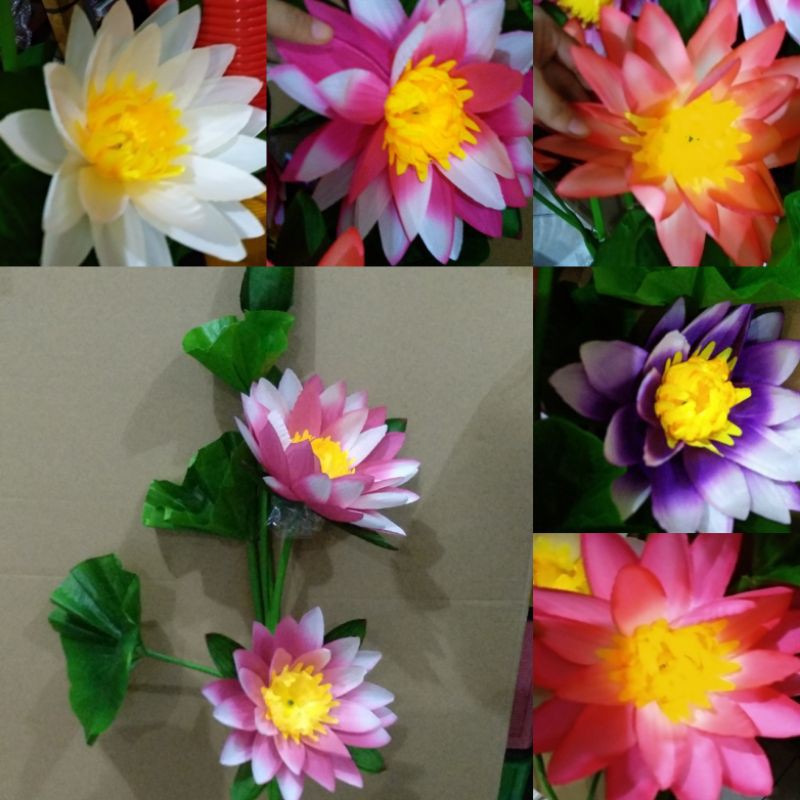 Jual bunga teratai jumbo import 120cm | Shopee Indonesia