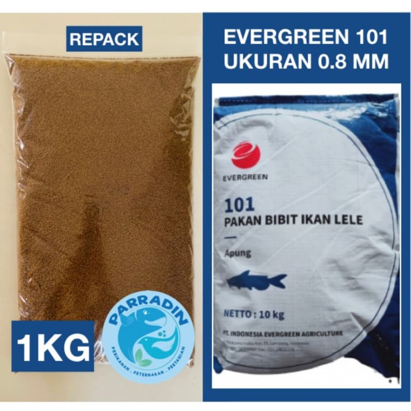 Jual PAKAN IKAN LELE APUNG EVERGREEN 101 Repack 1KG Ukuran 0.8MM ...