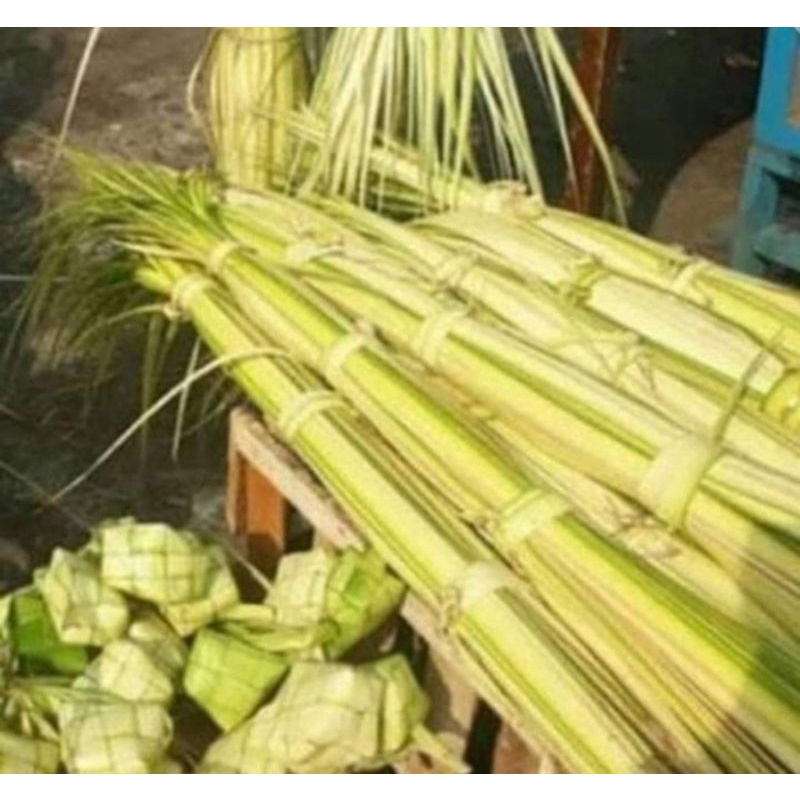 Jual PAKET DAUN JANUR KELAPA /KETUPAT 10 lembar | Shopee Indonesia
