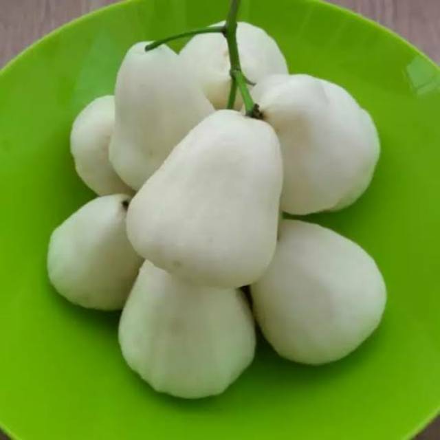 Jual jambu putih 1 kg fresh | Shopee Indonesia