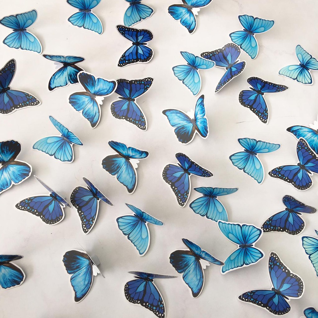 Jual TOPPER KUPU KUPU Biru pink utk cake atau buket | Shopee Indonesia