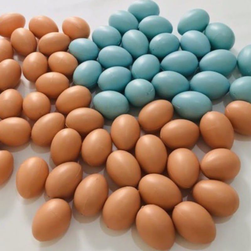 Jual MAINAN TELUR AYAM BEBEK PLASTIK SATUAN MAINAN ANAK TELOR AYAM ...