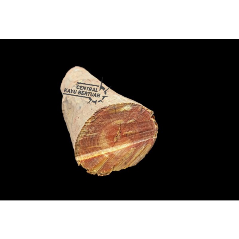 Jual bahan mentahan kayu raja merah/gaharu agatis 1.kg | Shopee Indonesia