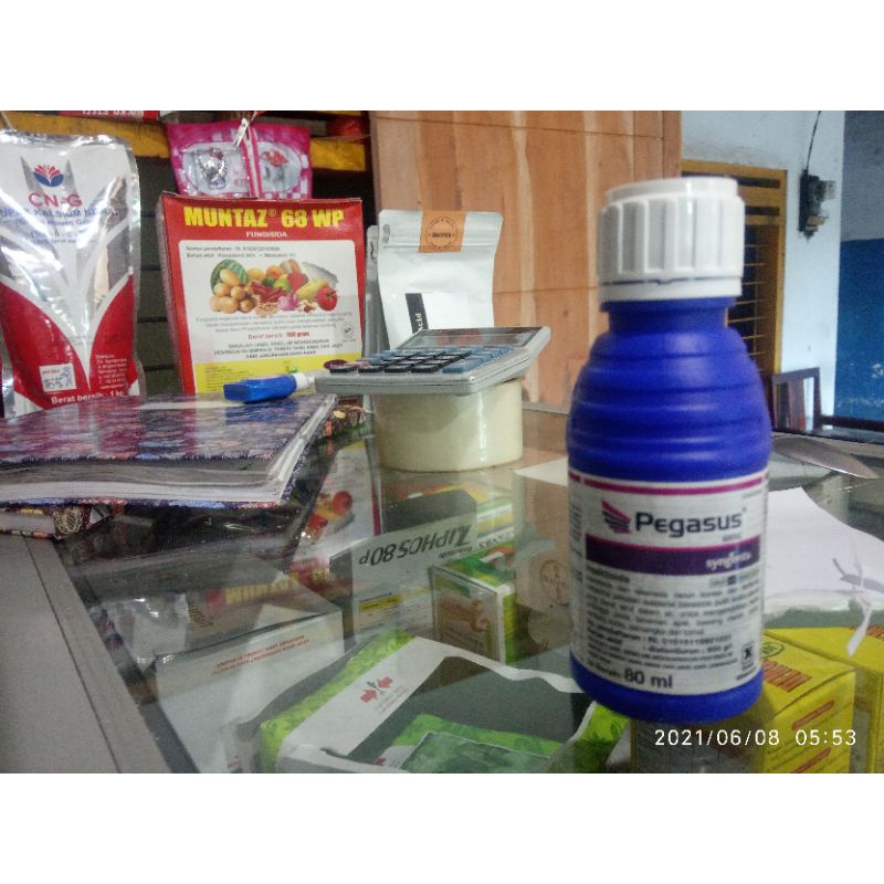 Jual Insektisida akarisida pegasus 500 sc 80 ml | Shopee Indonesia