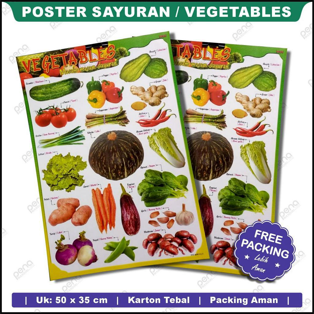 Jual Poster Belajar Aneka Macam Sayuran / Poster Sayur | Shopee Indonesia