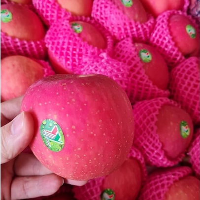 Jual HarvestMoon Apel Fuji RRC Per Kg | Shopee Indonesia