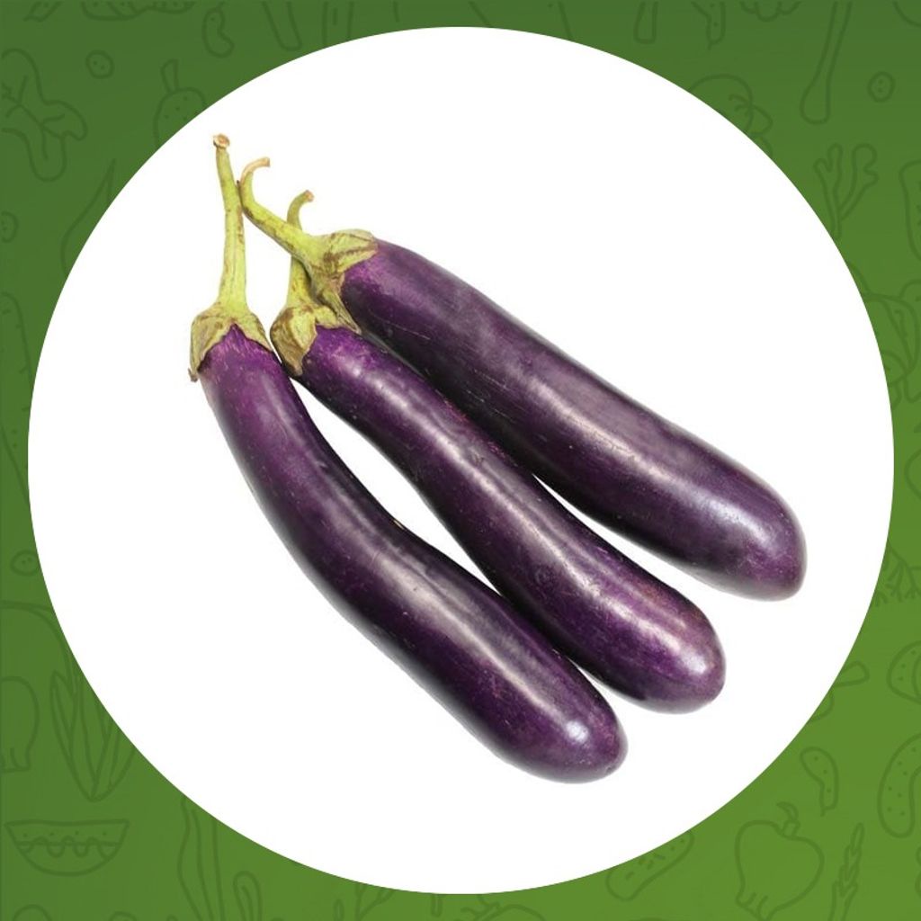 Jual TERONG UNGU 500gr | Shopee Indonesia