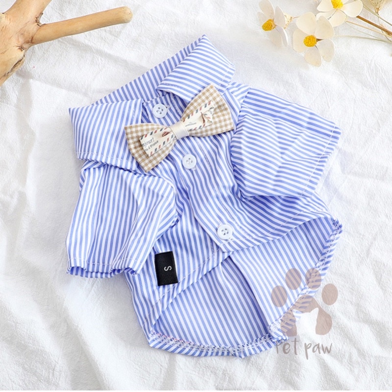 Jual Petpaw Baju Anjing Kucing Bowtie Formal Top Tuxedo Hewan Dasi Pita Kupu Kupu Premium Import ...