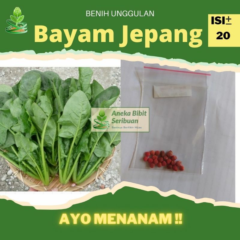 Jual 20 Benih Bayam Jepang Benih Horenso Unggulan | Shopee Indonesia