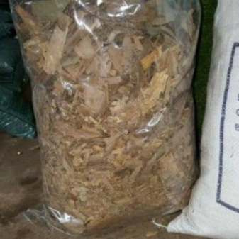 Jual Daun bambu kering media tanam anggrek / humus bambu kering ...