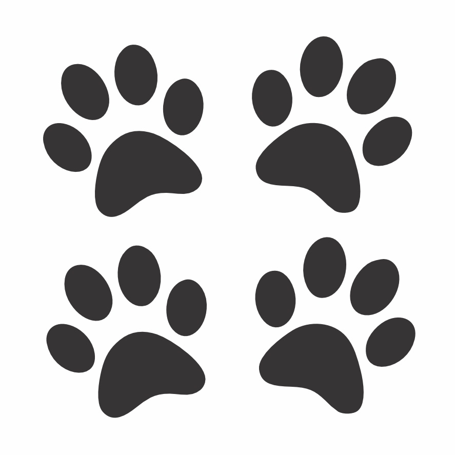 Jual STIKER CUTTING KAKI KUCING BAHAN VINYL | Shopee Indonesia