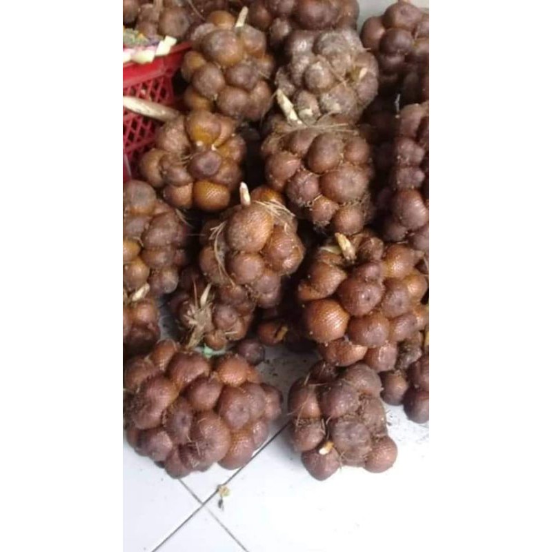 Jual Salak Gula Pasir Oleh Oleh Khas Bali 1kg | Shopee Indonesia