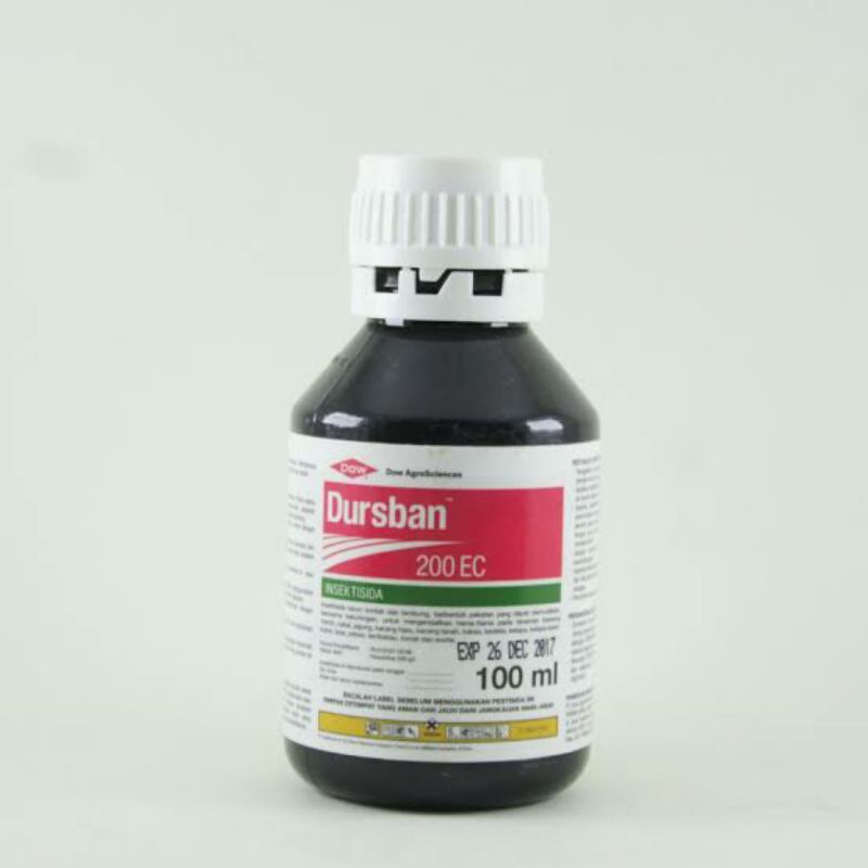 Jual Obat Tanaman Pembunuh Serangga Insektisida Dursban 100 ml | Shopee ...