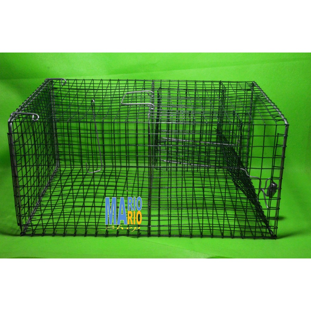 Jual Perangkap Jebakan Tikus Massal | Shopee Indonesia