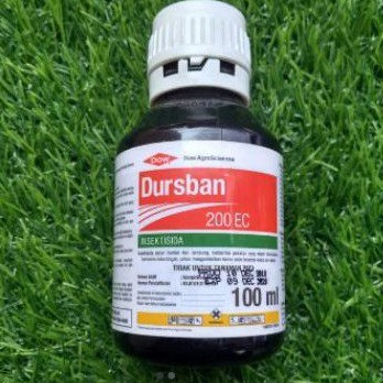 Jual DURSBAN 200EC /PEMBASMI ULAT/INSEKTISIDA/OBAT ULAT/OBAT BELALANG ...