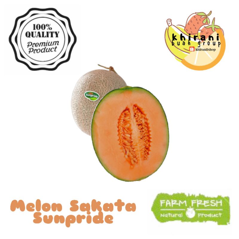 Jual Melon Sunpride / Melon / Melon Orange | Shopee Indonesia
