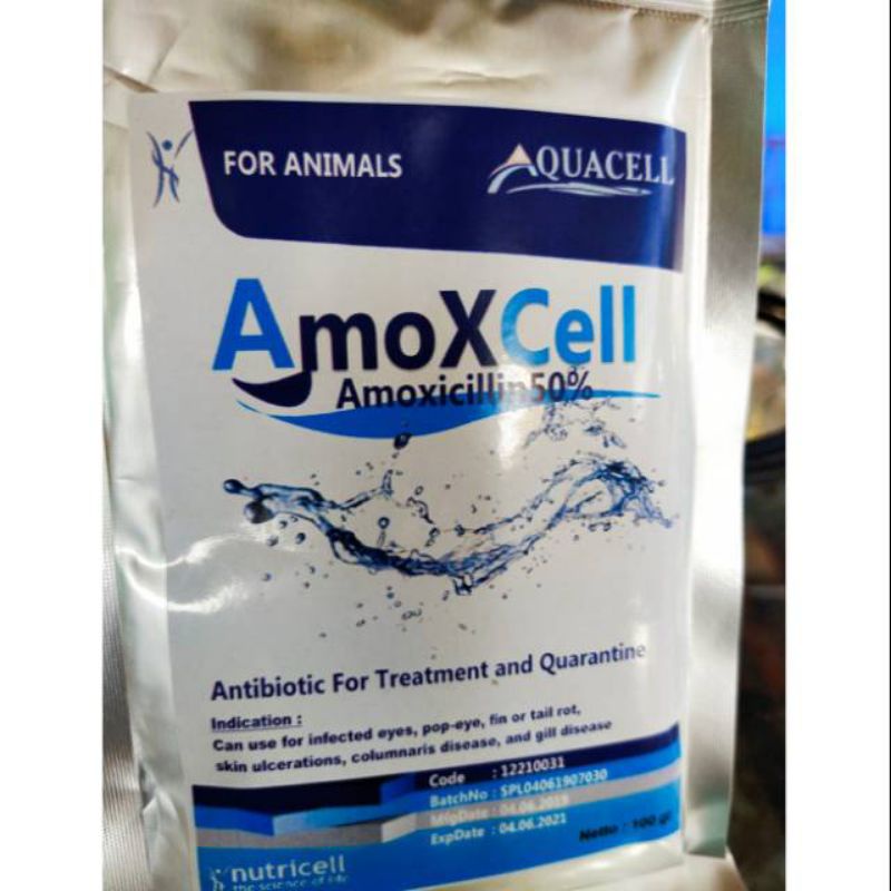 Jual AmoXCell 100 gr obat untuk berbagai jenis penyakit ikan koi dan ...