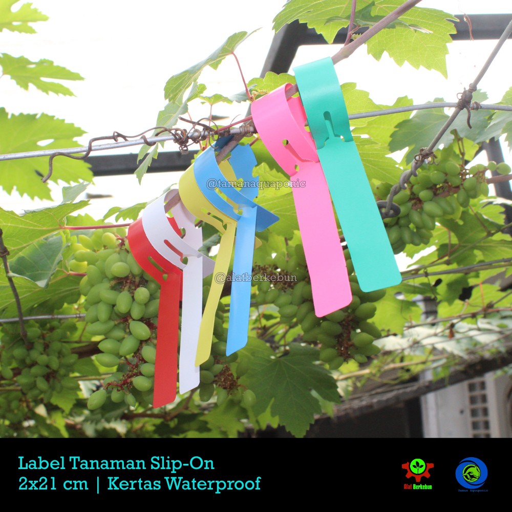 Jual Label Tanaman Tag Nama Tanaman Paket 25 pcs | Shopee Indonesia