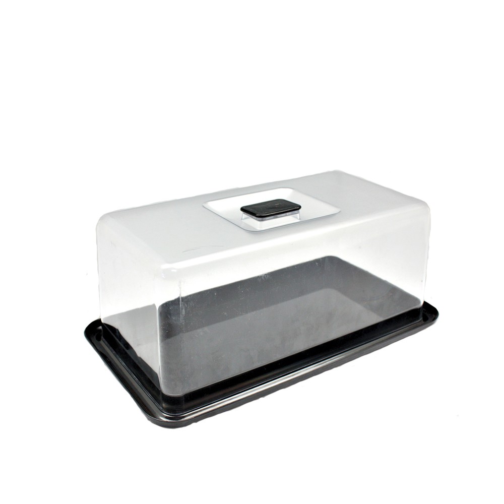 Jual Golden Dragon Kotak Roti Kotak Kue Kotak Makanan Kotak Serbaguna ...