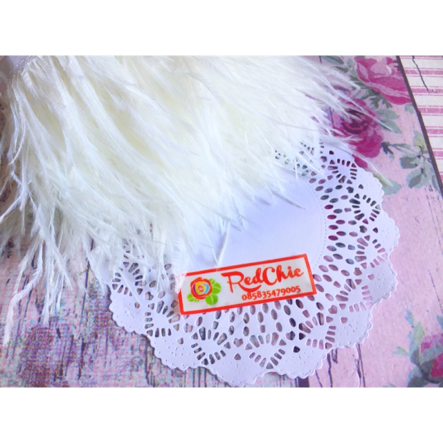 Jual Bulu Ostrich, Bulu Burung Onta/Unta | Shopee Indonesia