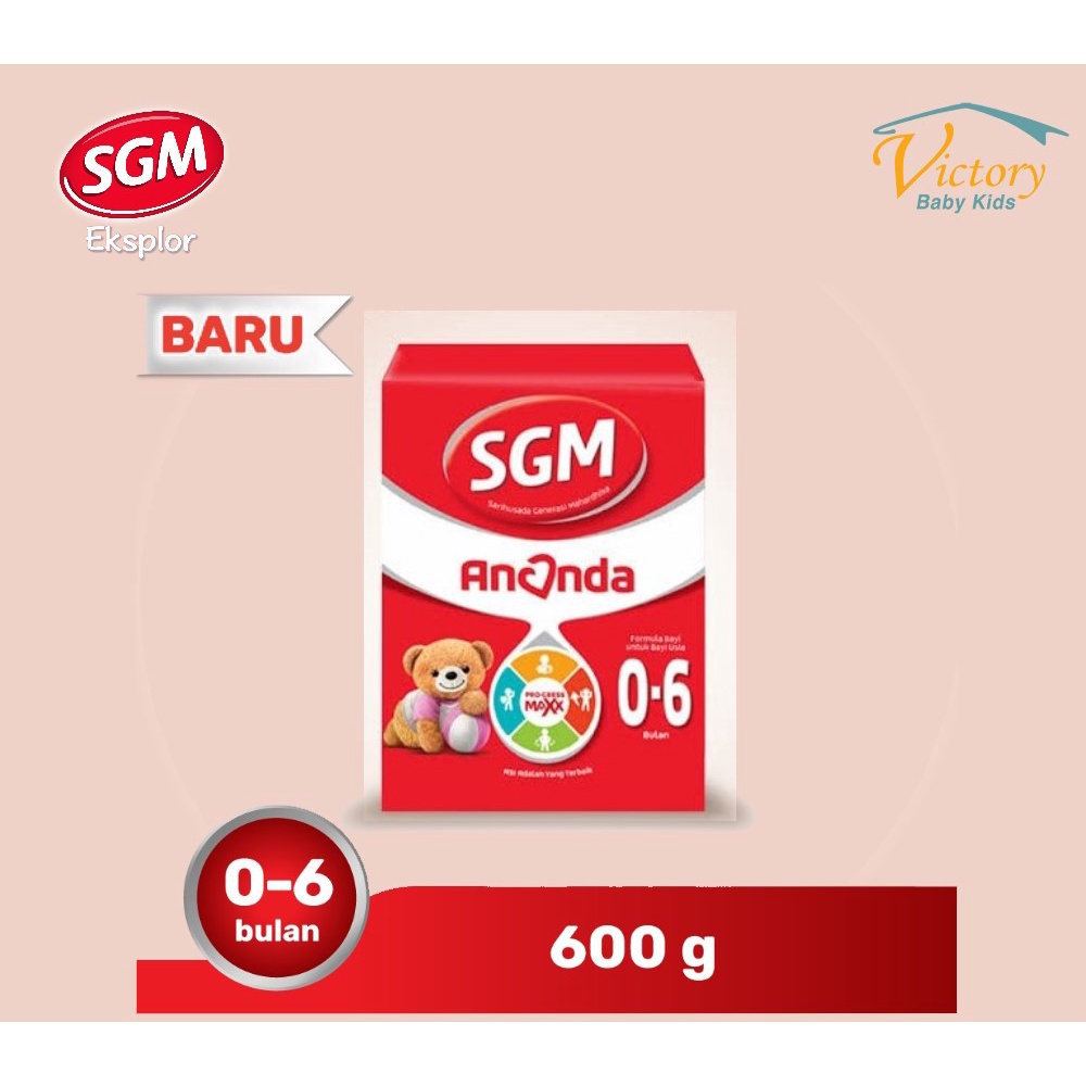 Jual SGM Ananda 1 0-6 Bulan Susu Formula 600 gr | Shopee Indonesia