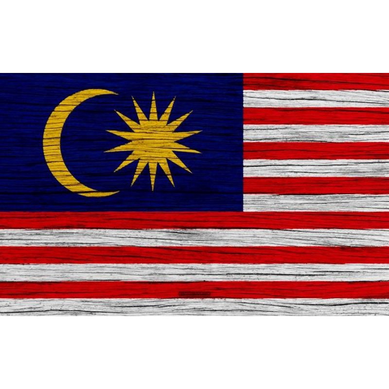 Jual (20x30) Poster Kayu Bendera Negara Wall Decor / Home Decor ...