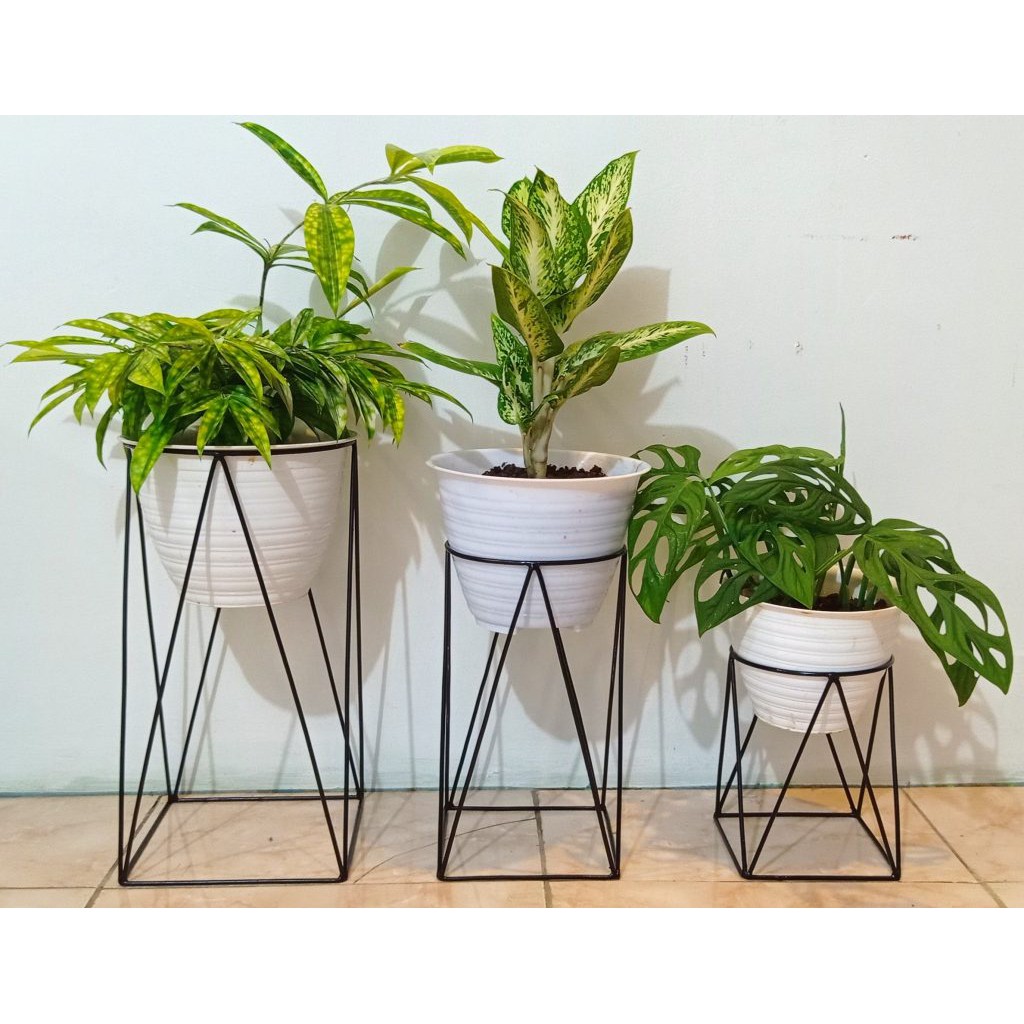 Jual Paket Standing pot 3 pcs - standing tanaman hias - standing pot ...