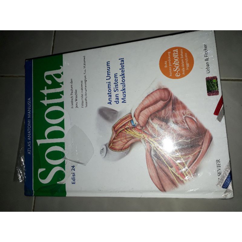 Jual [Original] Sobotta Edisi Terbaru edisi 24 Bahasa Indonesia ...