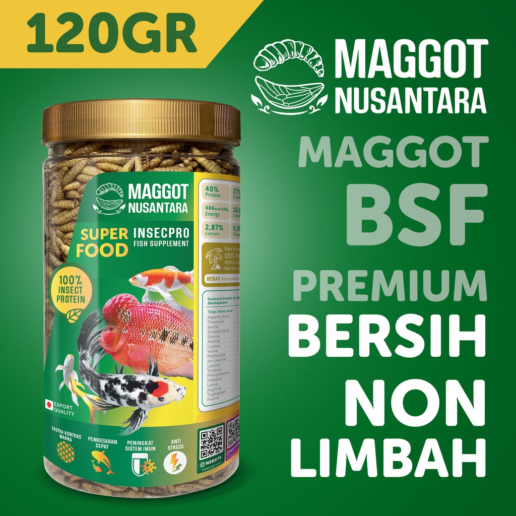 Jual MAGGOT KERING PREMIUM 120 GR PAKAN IKAN PREDATOR, KOI DAN LAIN ...