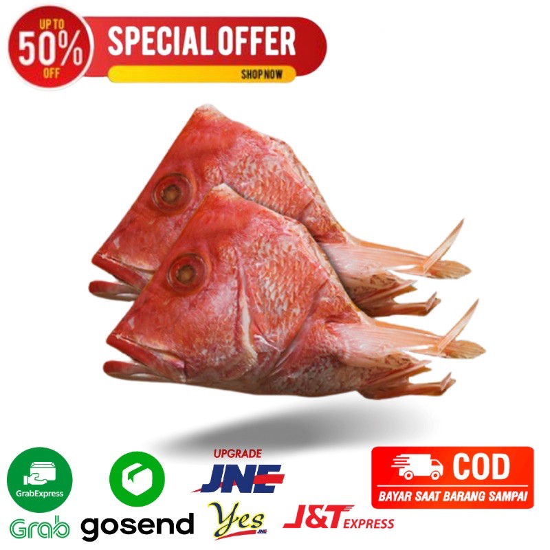 Jual kepala kakap merah 1 kg ikan kakap merah fresh segar bandung ...