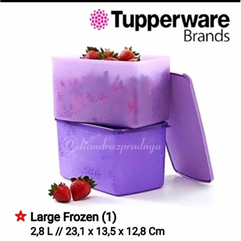 Jual tupperware large frozen - tempat buah -wadah sayur - kotak ...
