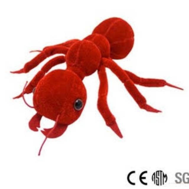 Jual Boneka semut merah impor | Shopee Indonesia