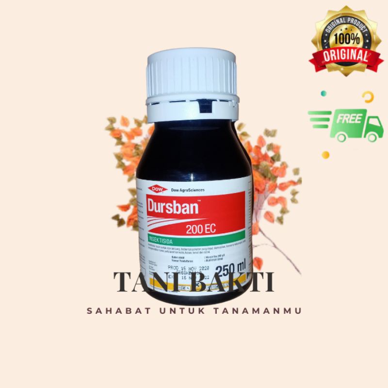Jual Insektisida Dursban 200EC, 250ml | Shopee Indonesia