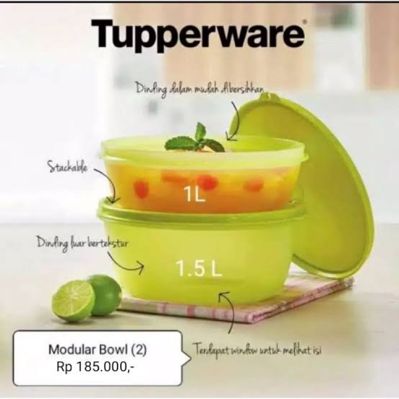 Jual Modular bowl set tupperware (2) | Shopee Indonesia