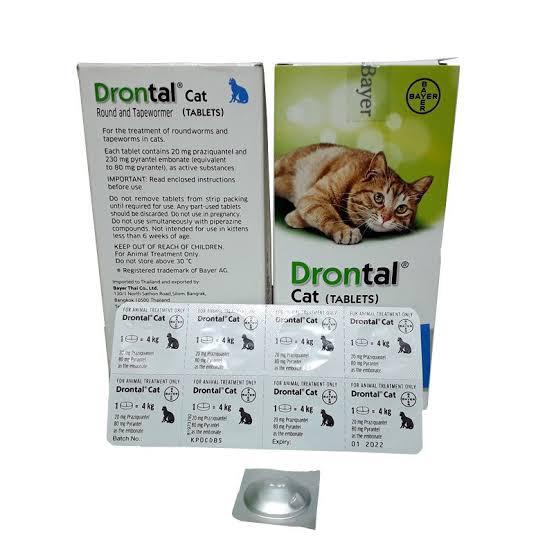 Jual OBAT CACING KUCING DRONTAL - DRONTAL CAT 1 TABLET | Shopee Indonesia