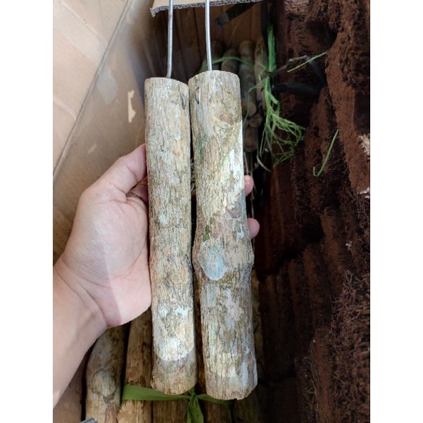 Jual Kayu Kopi dengan kawat cantolan | Shopee Indonesia