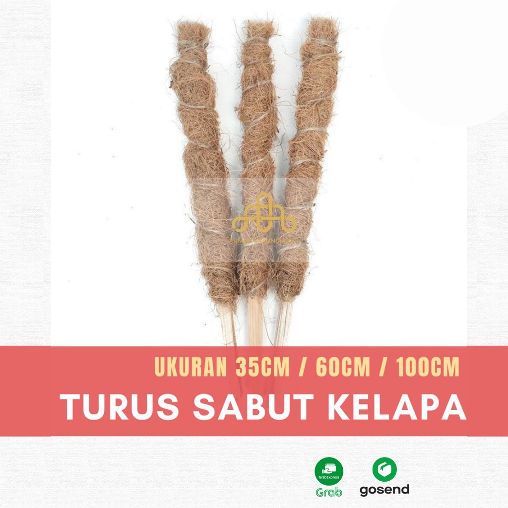 Jual Turus Penyangga Tanaman Sabut Kelapa - Media Tanaman Hias - Turus ...