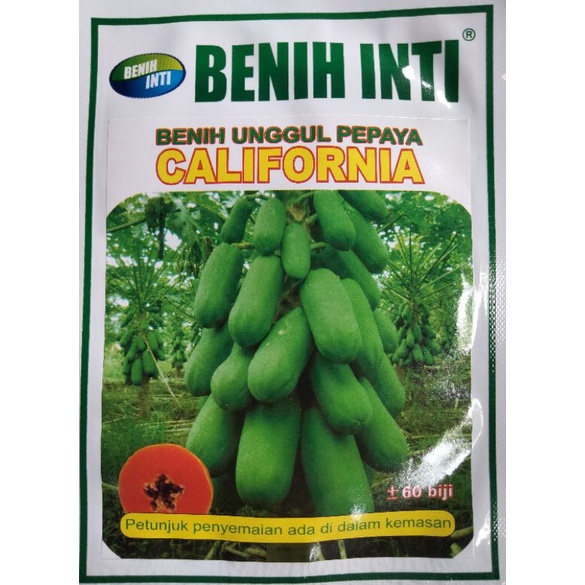 Jual Benih Pepaya CALIFORNIA BENIH INTI kemasan 1 gram | Shopee Indonesia