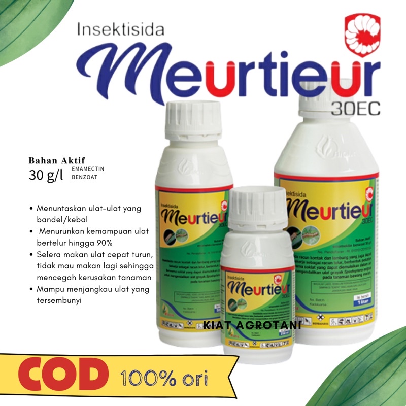 Jual Insektisida Meurtieur 30 EC untuk Ulat Grayak bawang merah ...