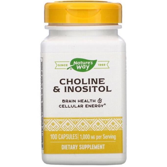 Jual TERBATAS - NATURE'S WAY, CHOLINE & INOSITOL 1000MG, 100 CAPSULES ...