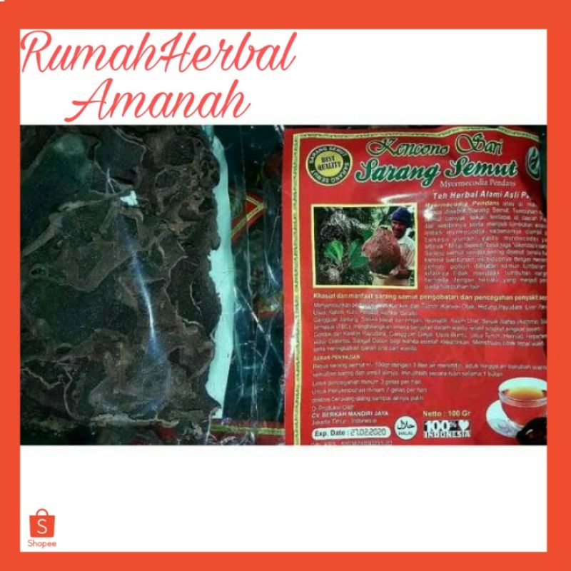 Jual Teh Sarang Semut Curah Herbal Asli Original Papua Dijamin Asli ...