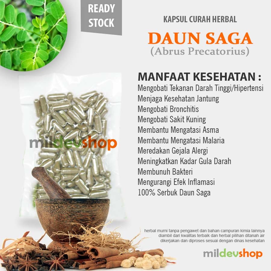 Jual DAUN SAGA 100 Kapsul Herbal Asma Sakit Kuning Alergi Hipertensi ...
