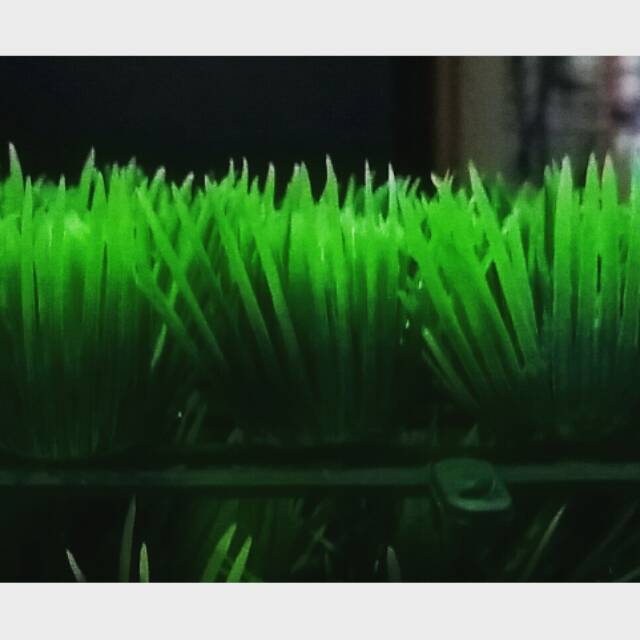 Jual Rumput plastik akuarium. Hiasan akuarium. Uk 24x24. Model rumput ...