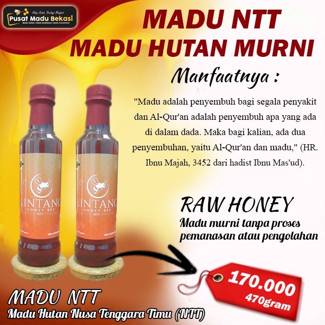 Jual Jual Madu Hutan Murni NTT - Lintang Honey Bee Madu Hutan Asli dari ...