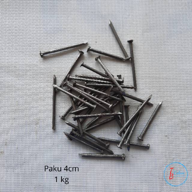 Jual Paku 4cm (1kg) | Shopee Indonesia